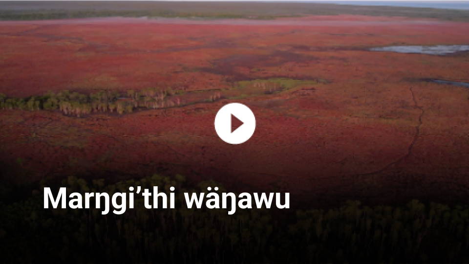 Deep dive framework - Yolngu Knowledge Framework